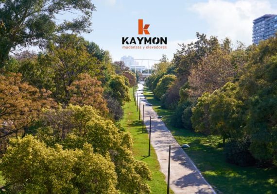 ︎ Vivir en Valencia en 2025: Pros y Contras | Mudanzas Kaymon